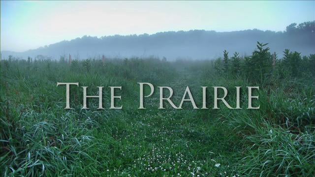 Prairie Test Footage on Vimeo