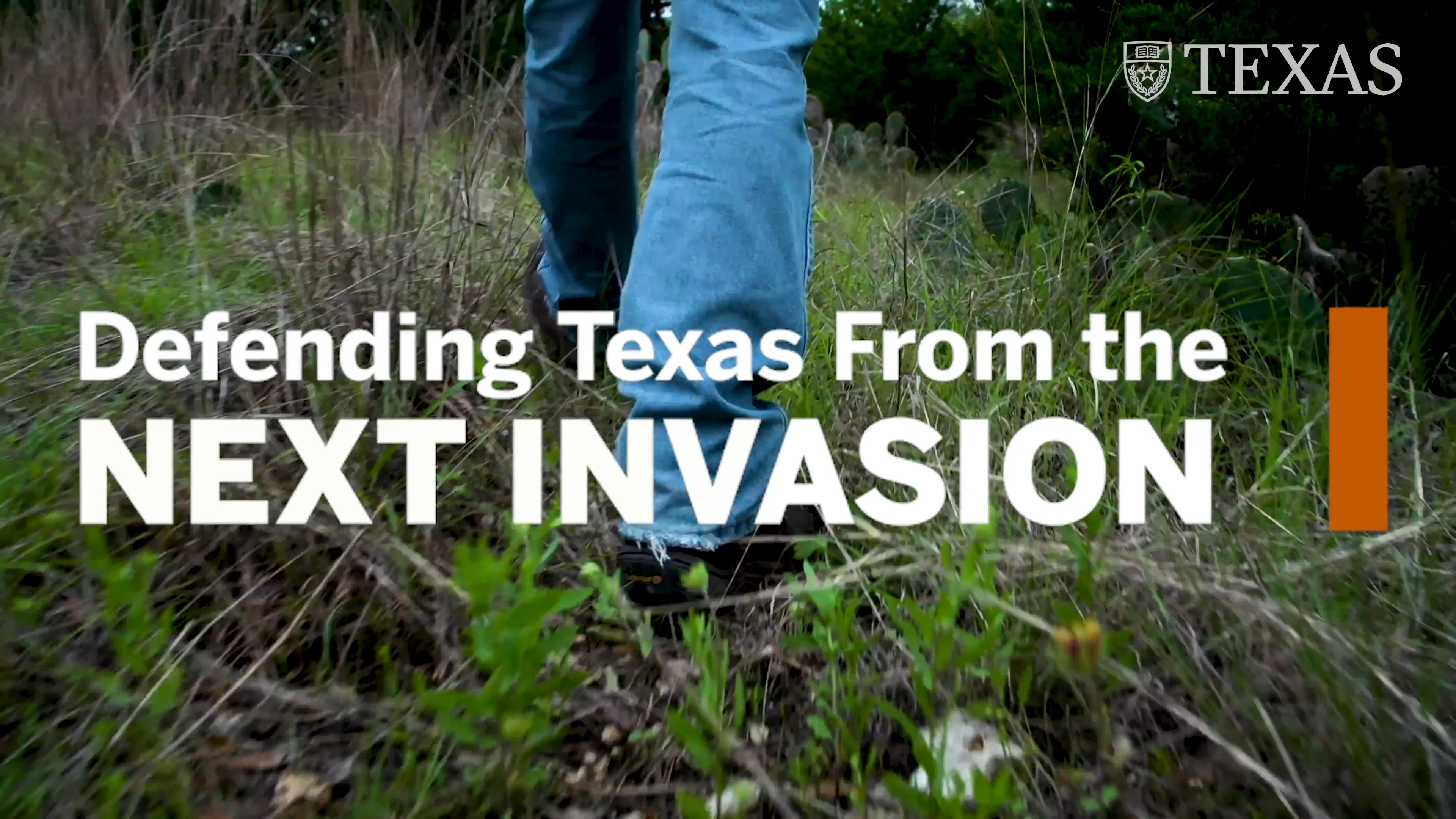 Defending Texas From the Next Invasion