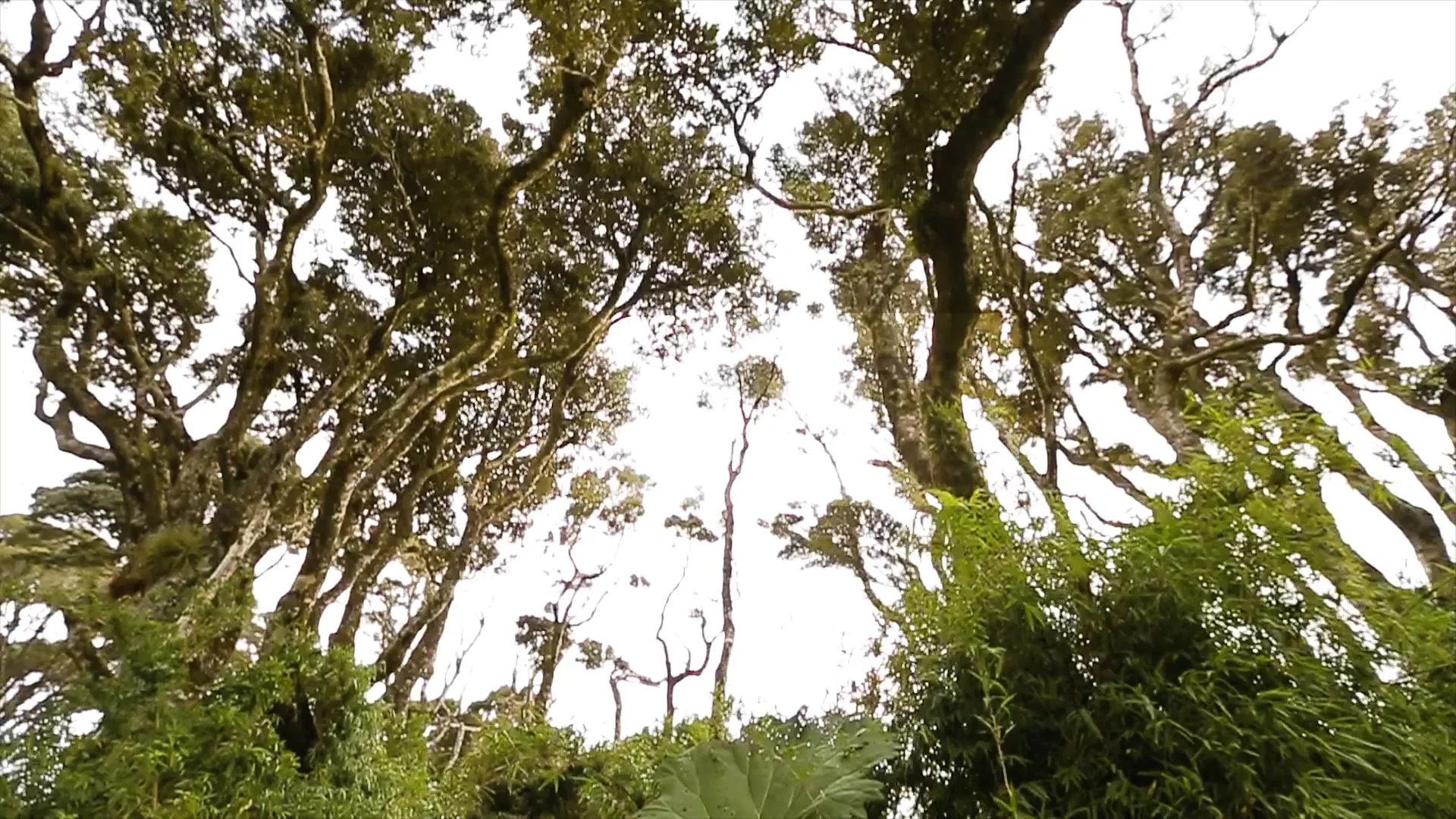 MARI_MARI_TEST v2 on Vimeo