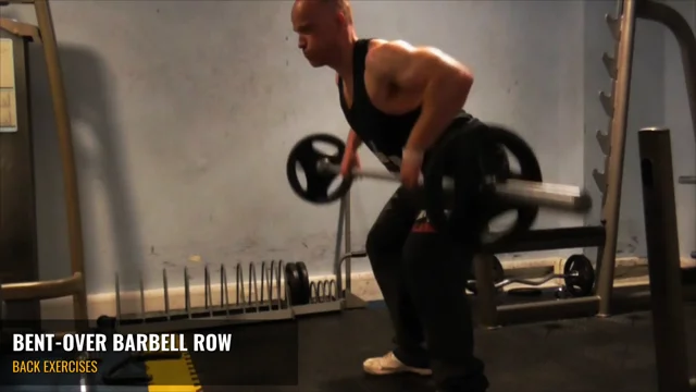 Bent Over Row Barbell