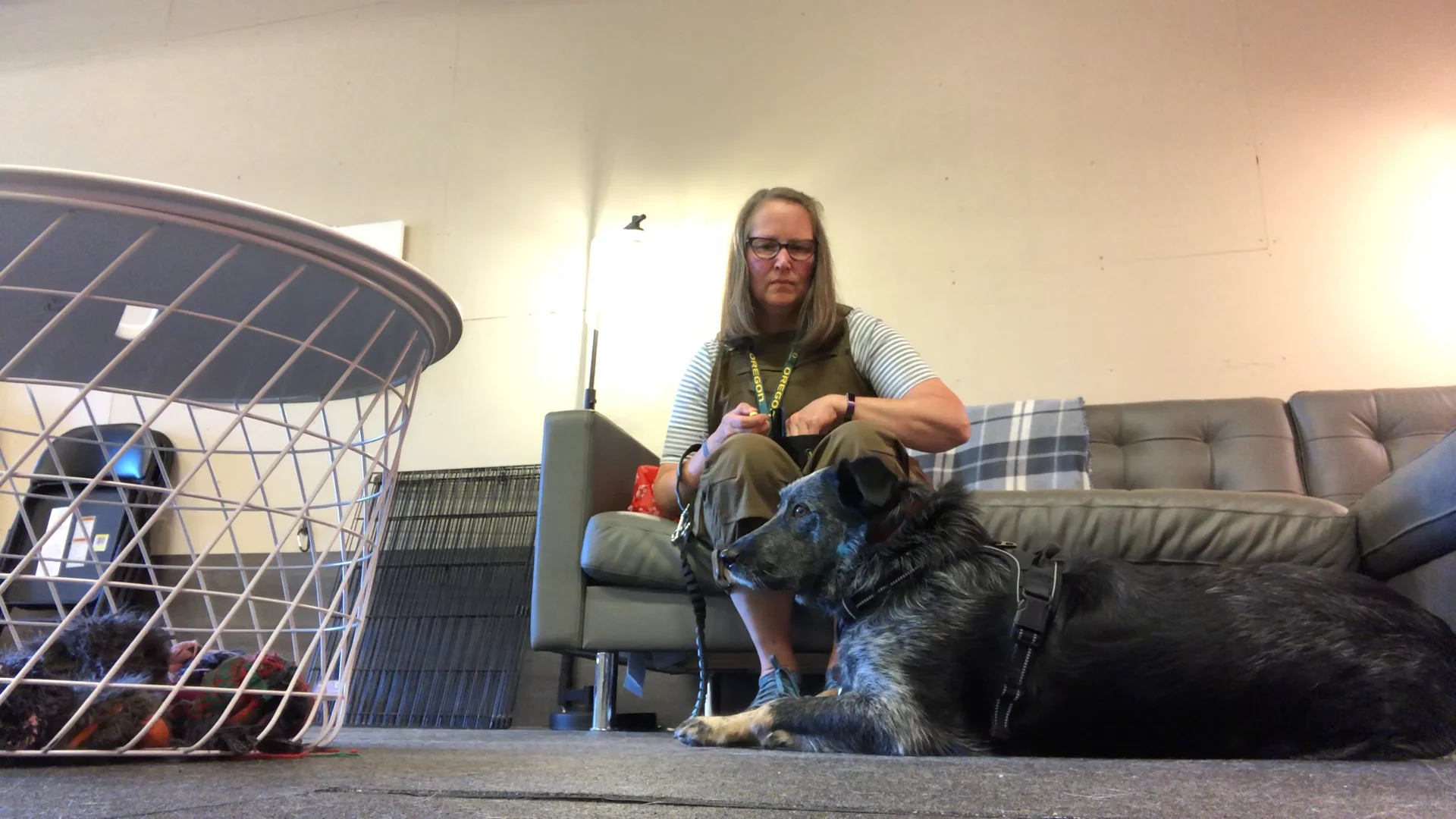 Spanner Live Dog #1 on Vimeo