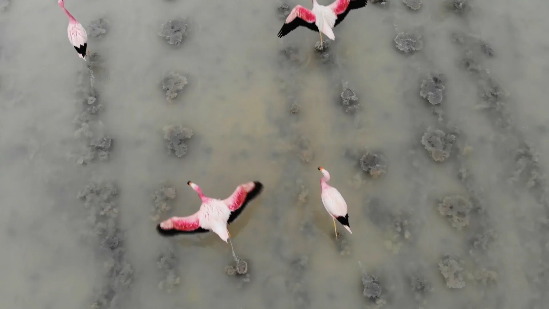 demo reel vimeo on Vimeo