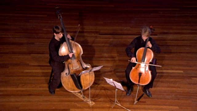 Snaar - Cello & contrabas on Vimeo