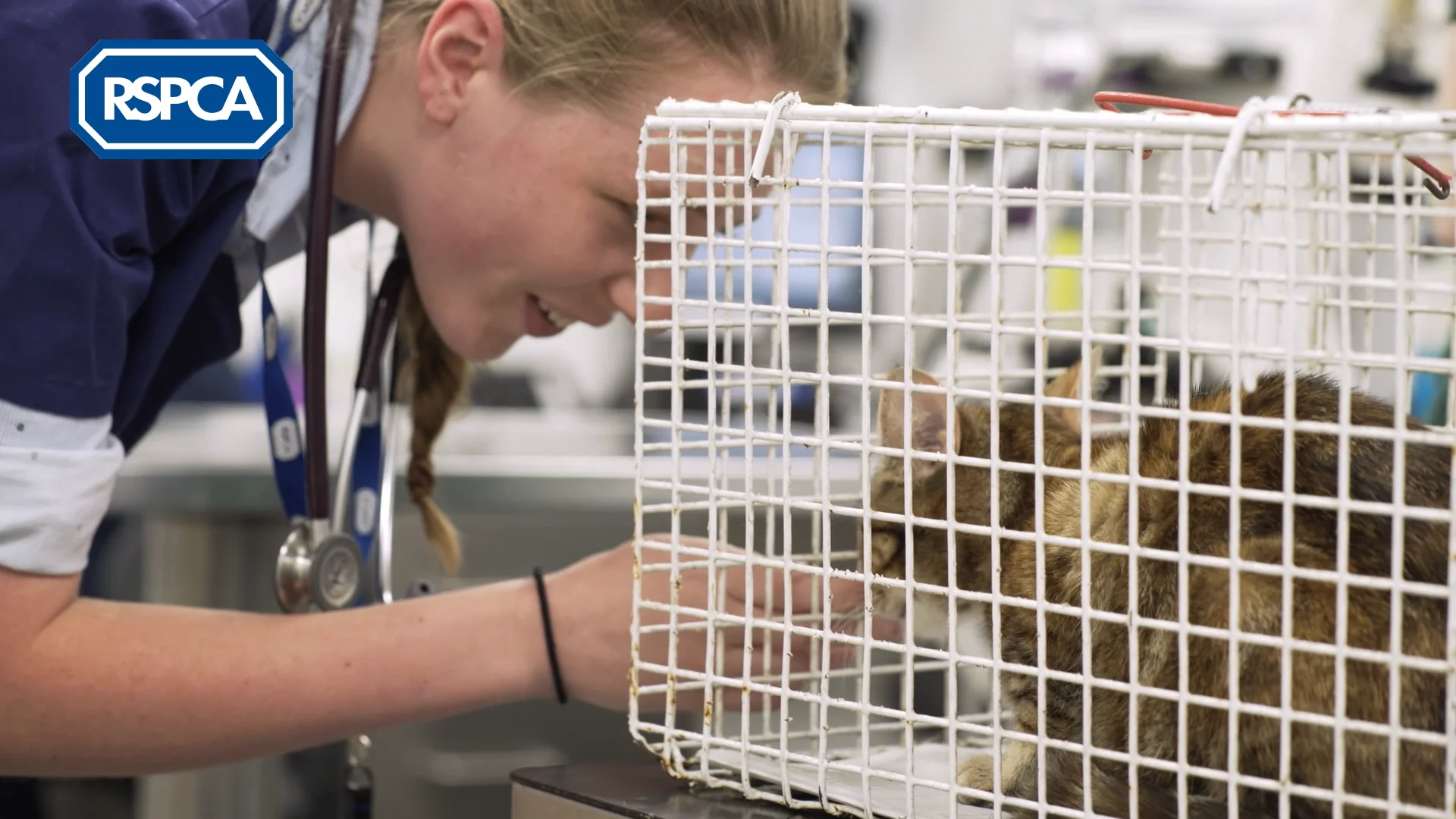 RSPCA_MAIN_YT on Vimeo