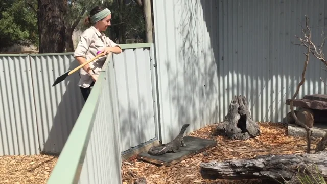 Lace Monitor Enclosure