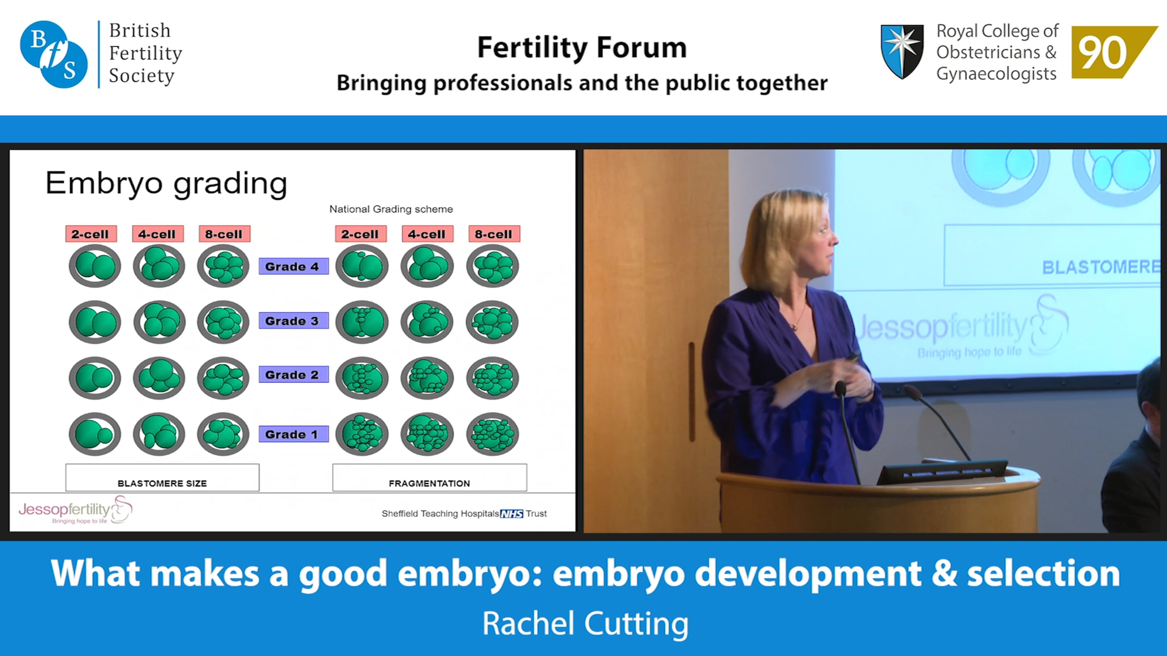 What makes a good embryo: Embryo development & selection – Rachel ...