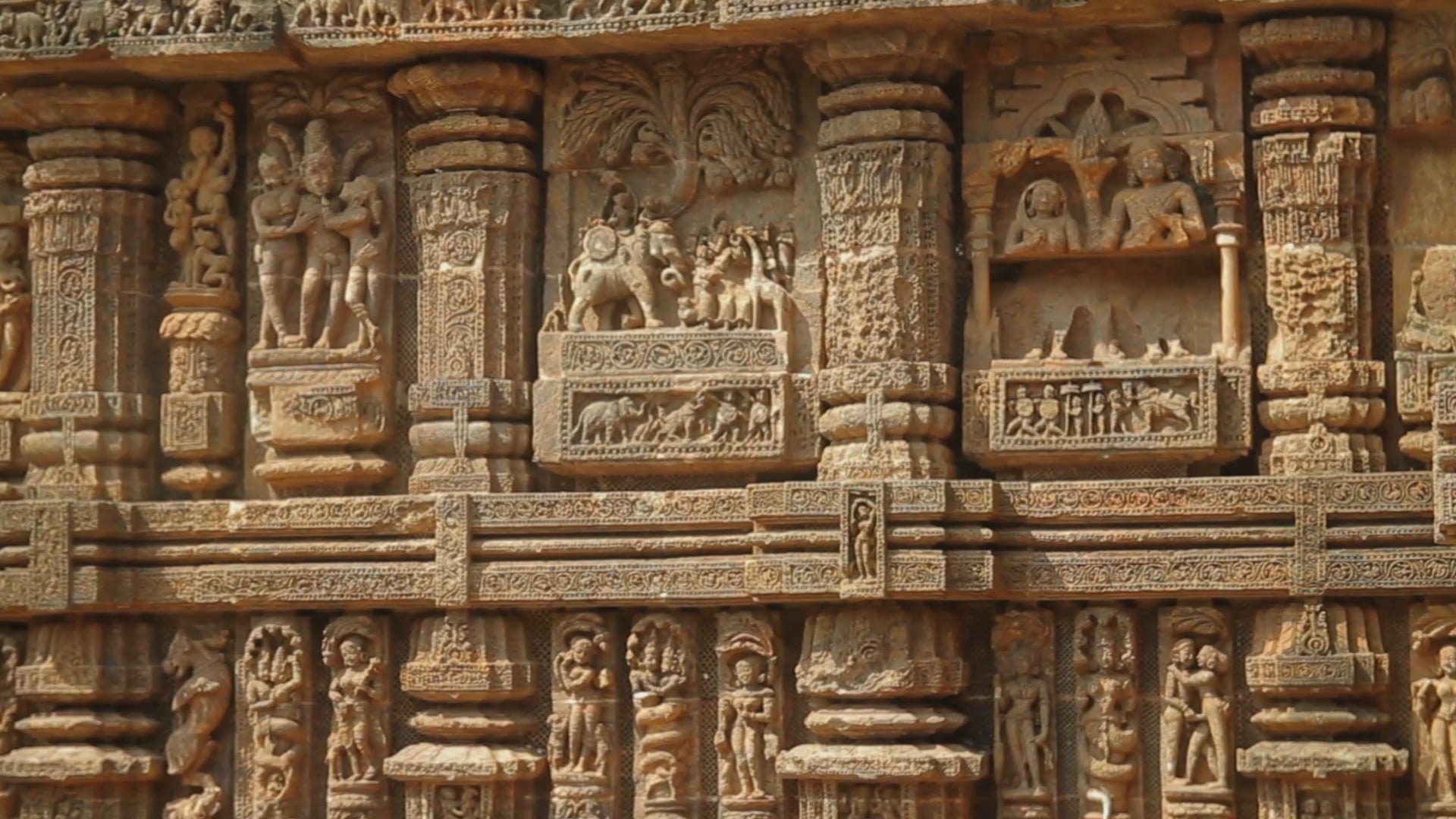 Watch The Sculpted Blossom: Classical Indian Dance - Belly Dance Fusion ...