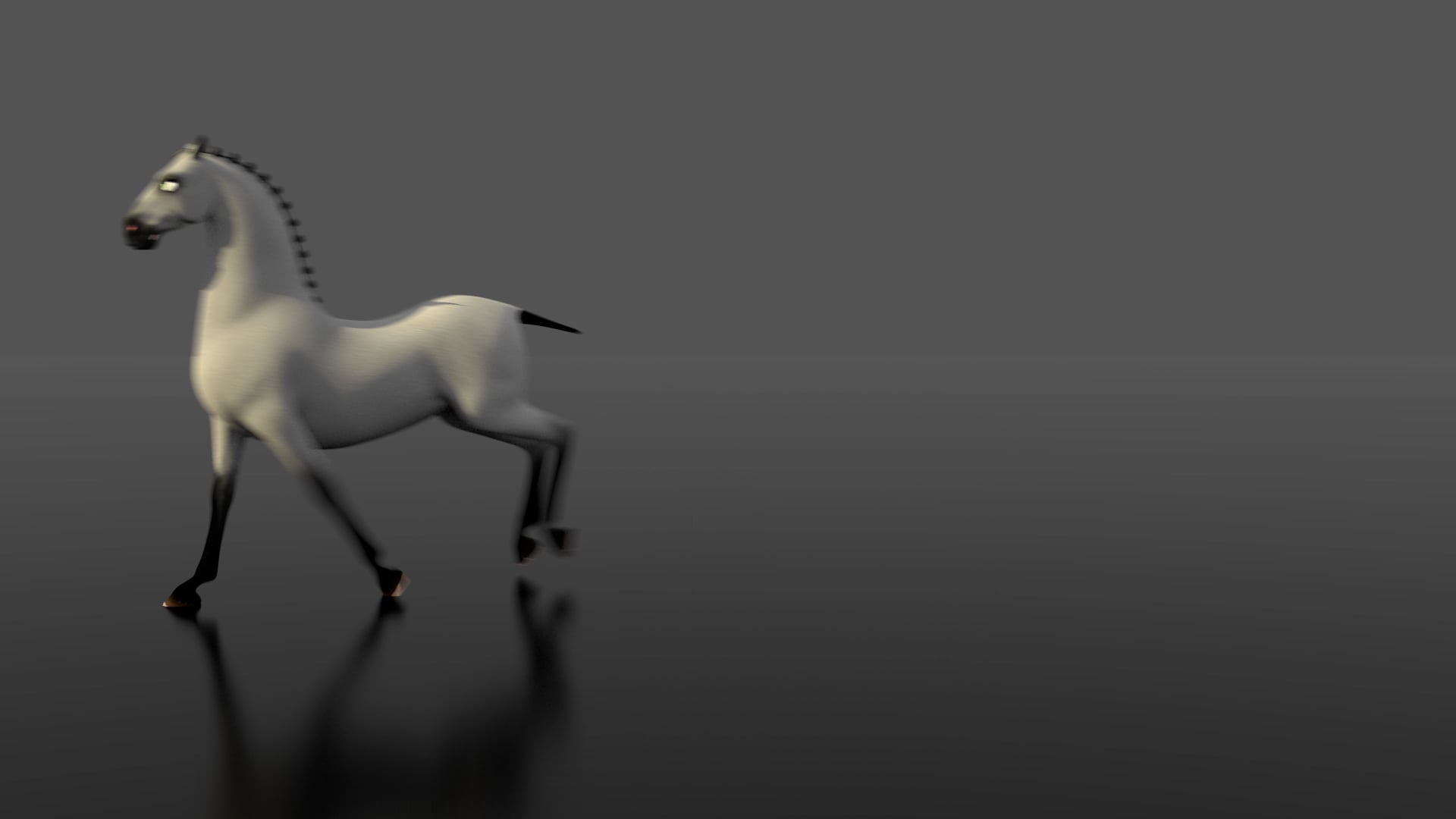 Canter animation test on Vimeo