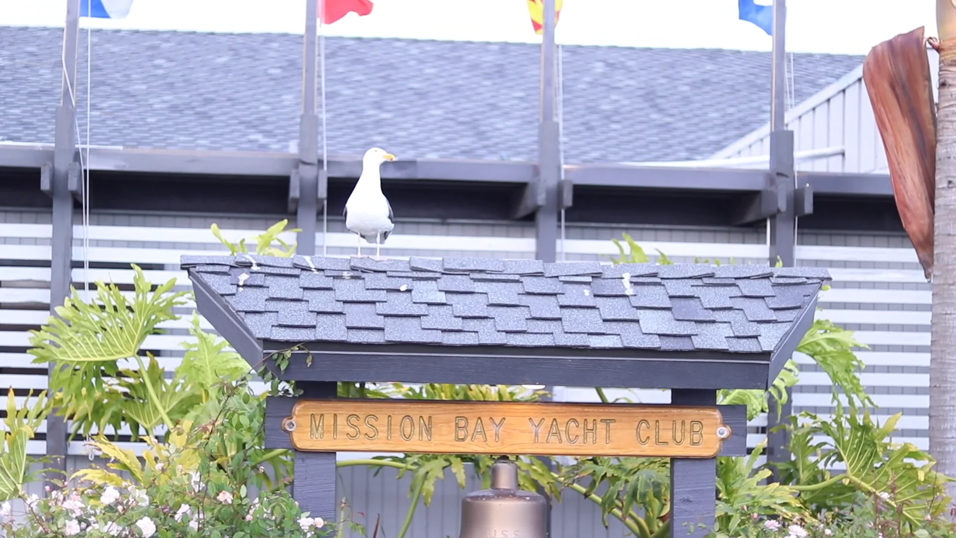 David Spiewak on Vimeo