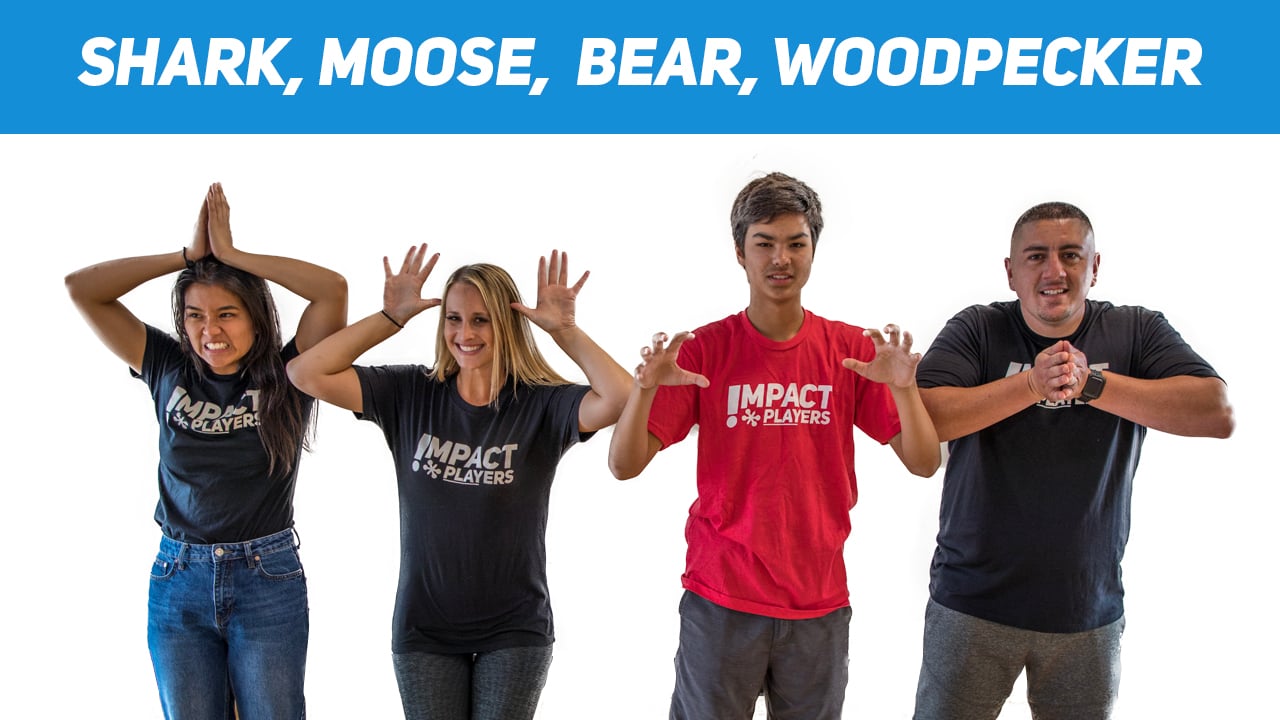 Shark, Moose, Bear, Woodpecker on Vimeo