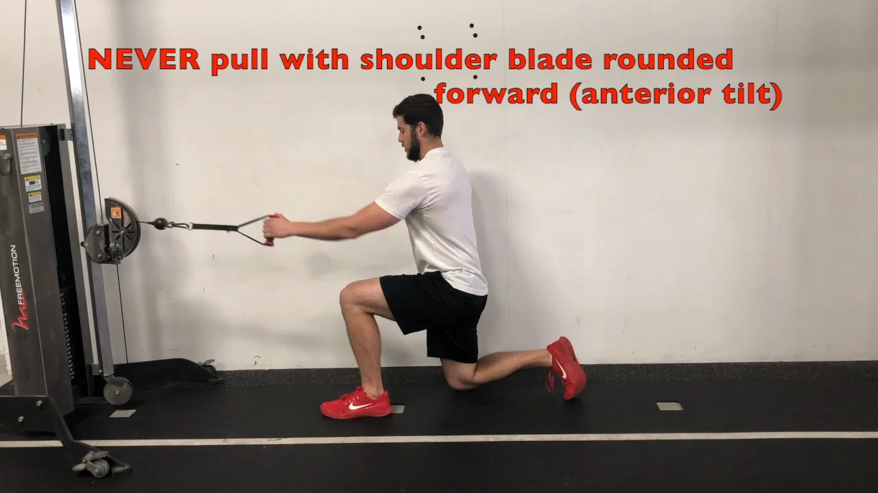 Cable Row - SA Anti Rotation on Vimeo