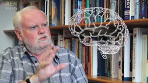 David Whitebread - How can you support the development of self ...