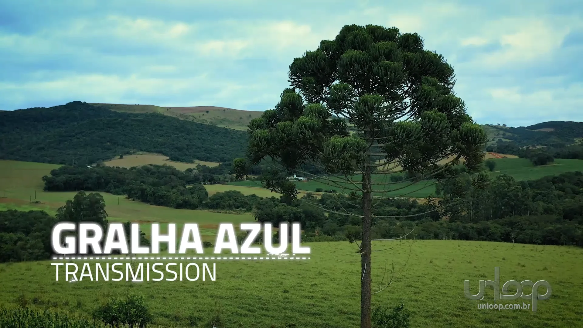Unloop Filmes - Portfolio Energia - Sistema de Transmissão Gralha Azul on Vimeo