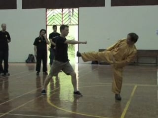 The Side-Way Tiger-Tail Kick — Part 5 on Vimeo