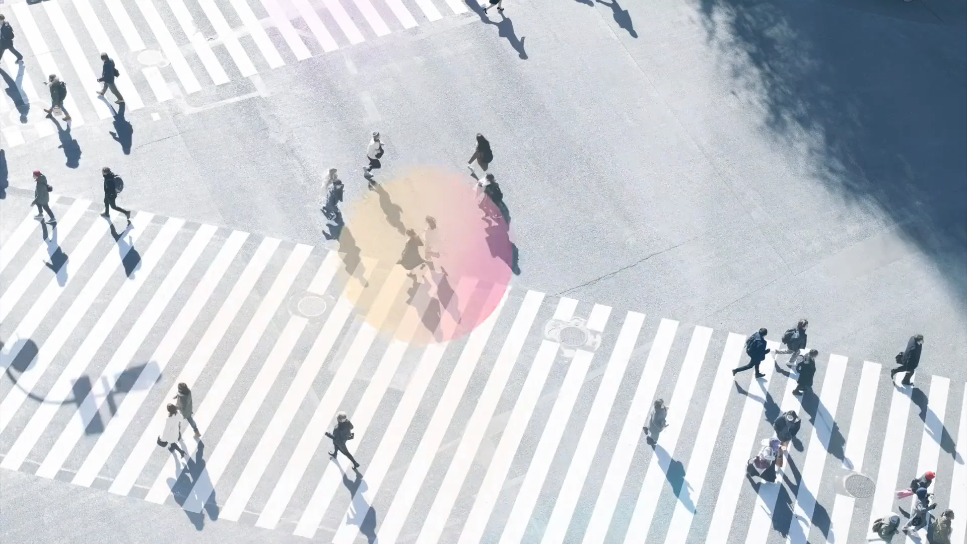 Sony Square Shibuya Project