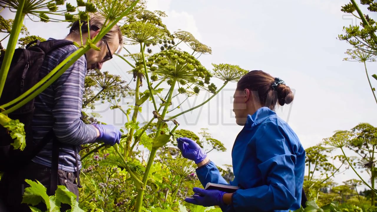 Scientists Study Plants Stock Video on Vimeo