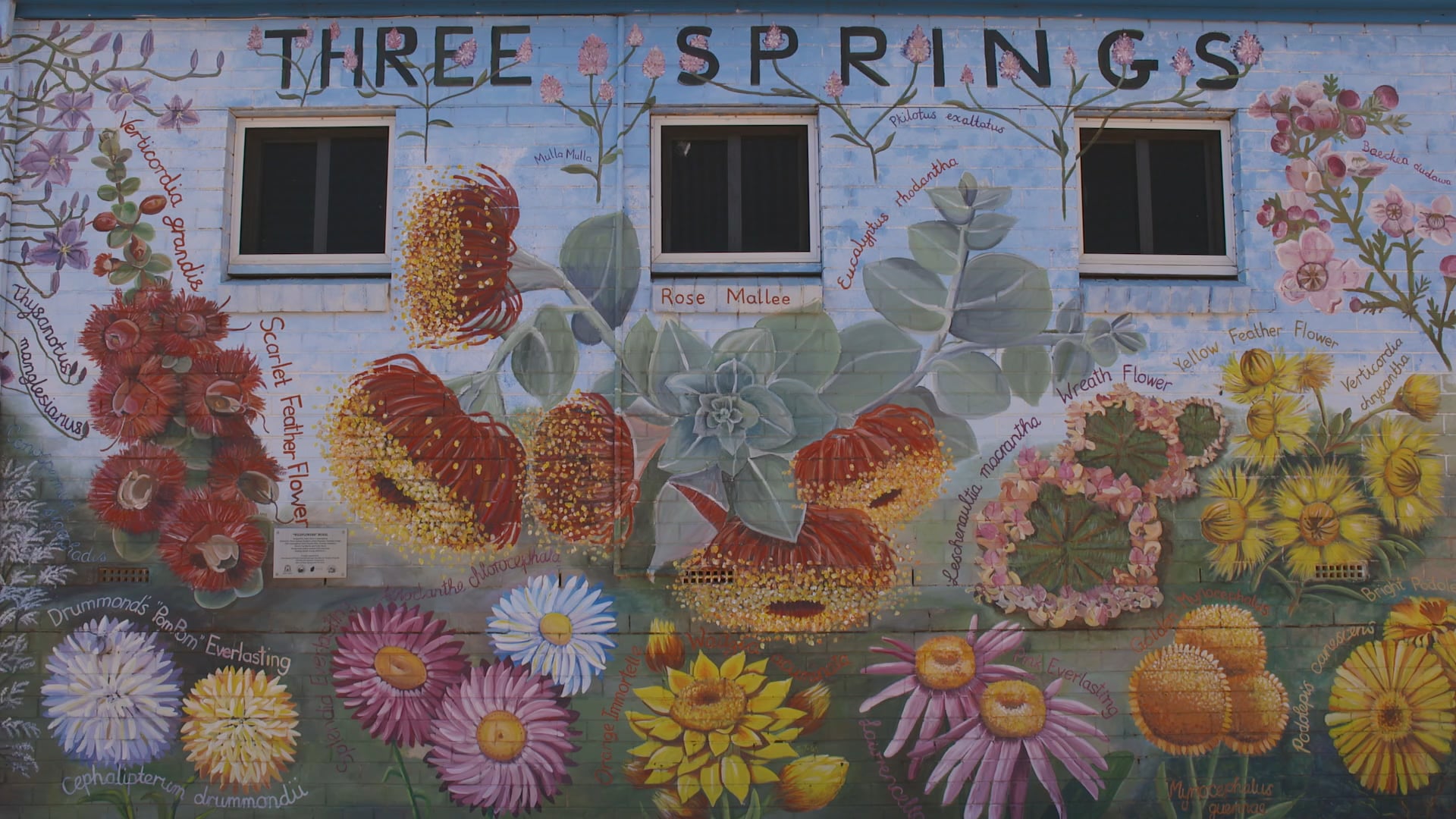 OUR TOWN WA Midwest - Shire of Three Springs on Vimeo