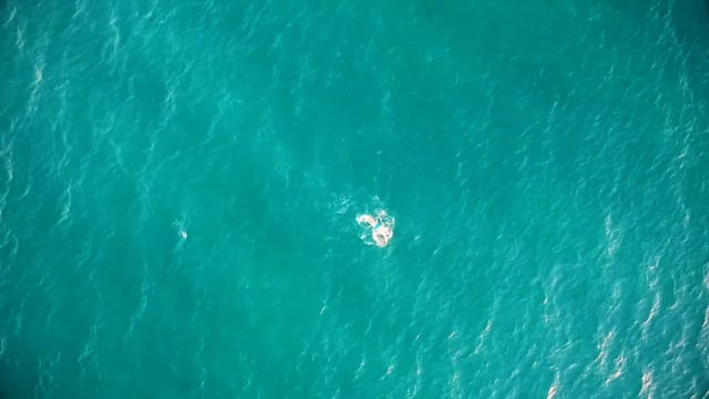 La Natation Baignade L'Eau - Free video on Pixabay