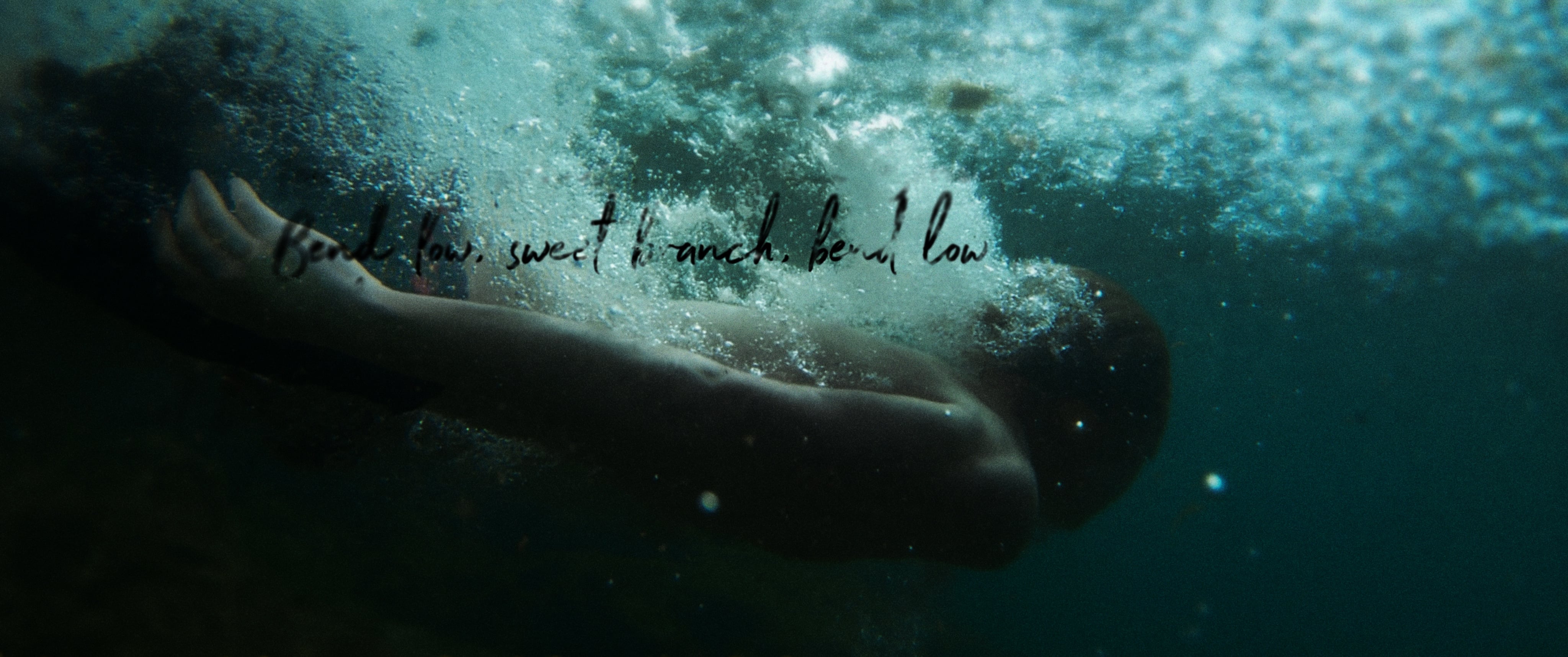 The Gentleman Losers - Bend Low, Sweet Branch, Bend Low | Videos ...