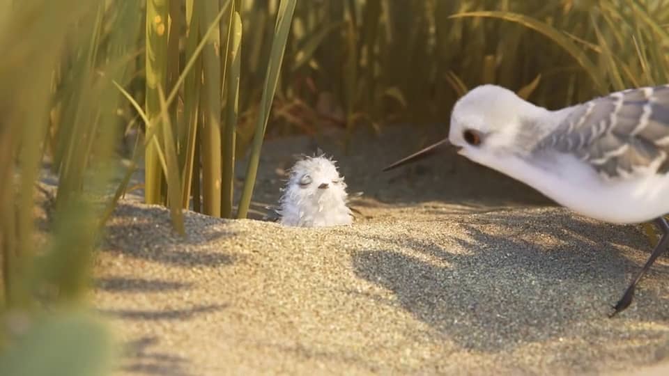 Disney Pixar - Piper HD on Vimeo