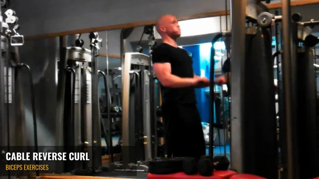 Reverse Cable Curl