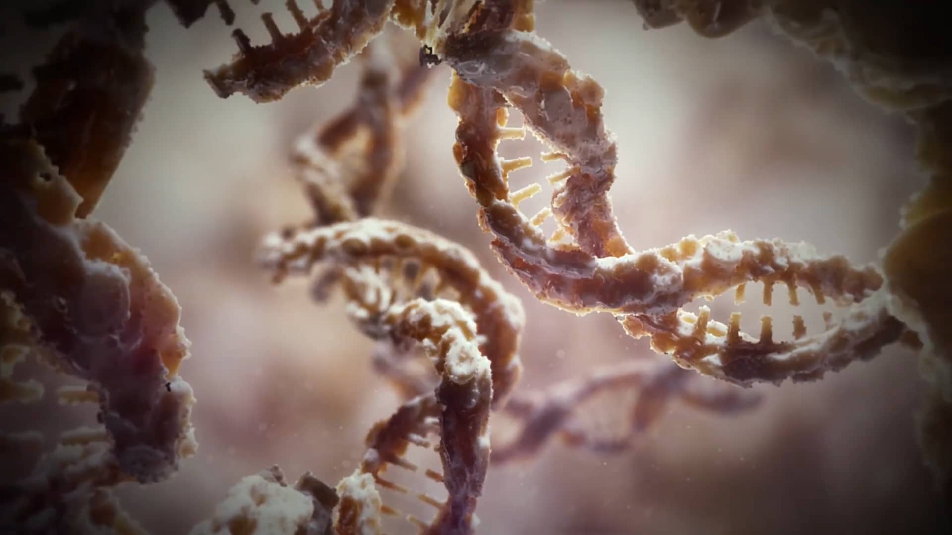 3D Octopus DNA - Medical Animation on Vimeo