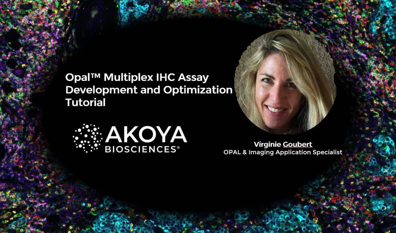 Opal™ Multiplex IHC Assay Development and Optimization Tutorial on Vimeo