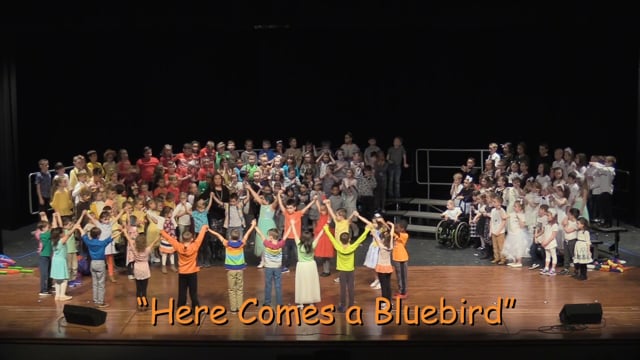 Here Comes a Bluebird | MusicplayOnline