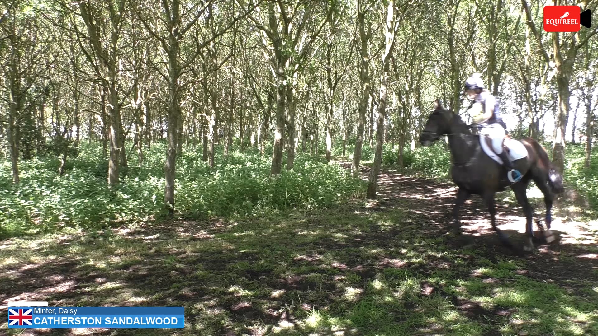 EQUIREEL 610 Daisy Minter & Catherston Sandalwood at LITTLE DOWNHAM (1 ...