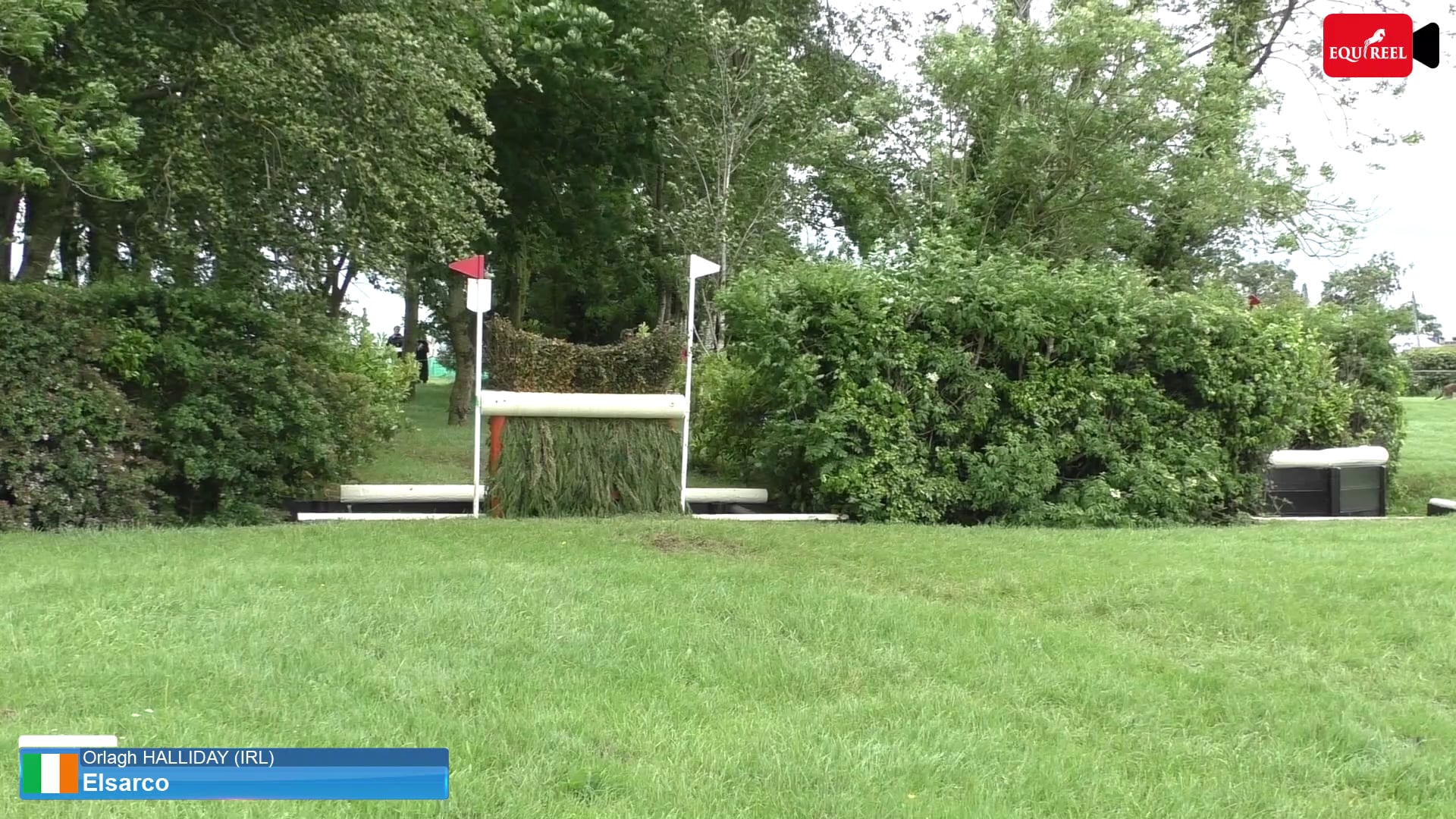EQUIREEL 101 Orlagh HALLIDAY (IRL) & Elsarco at Tattersalls ...