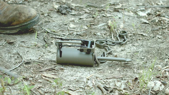 Dog Proof Fox Traps