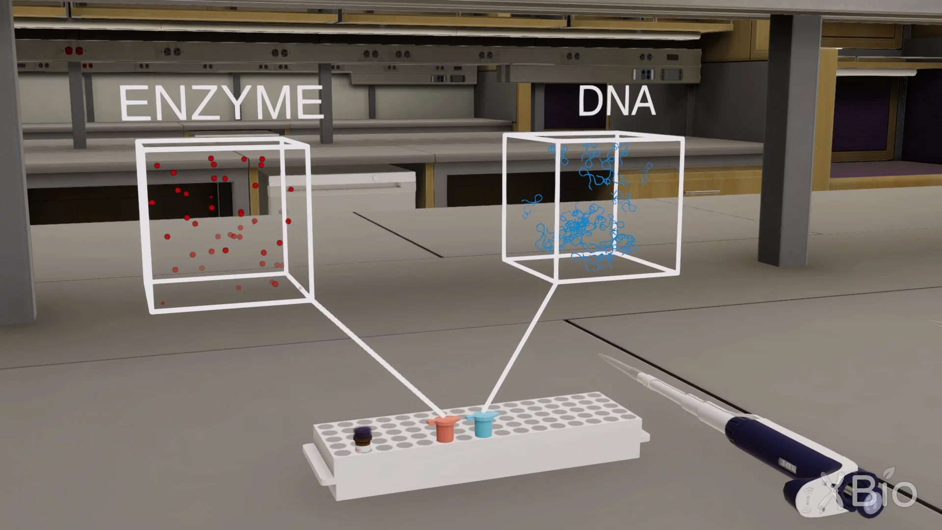 Virtual Lab Simulation: Agarose Gel Electrophoresis