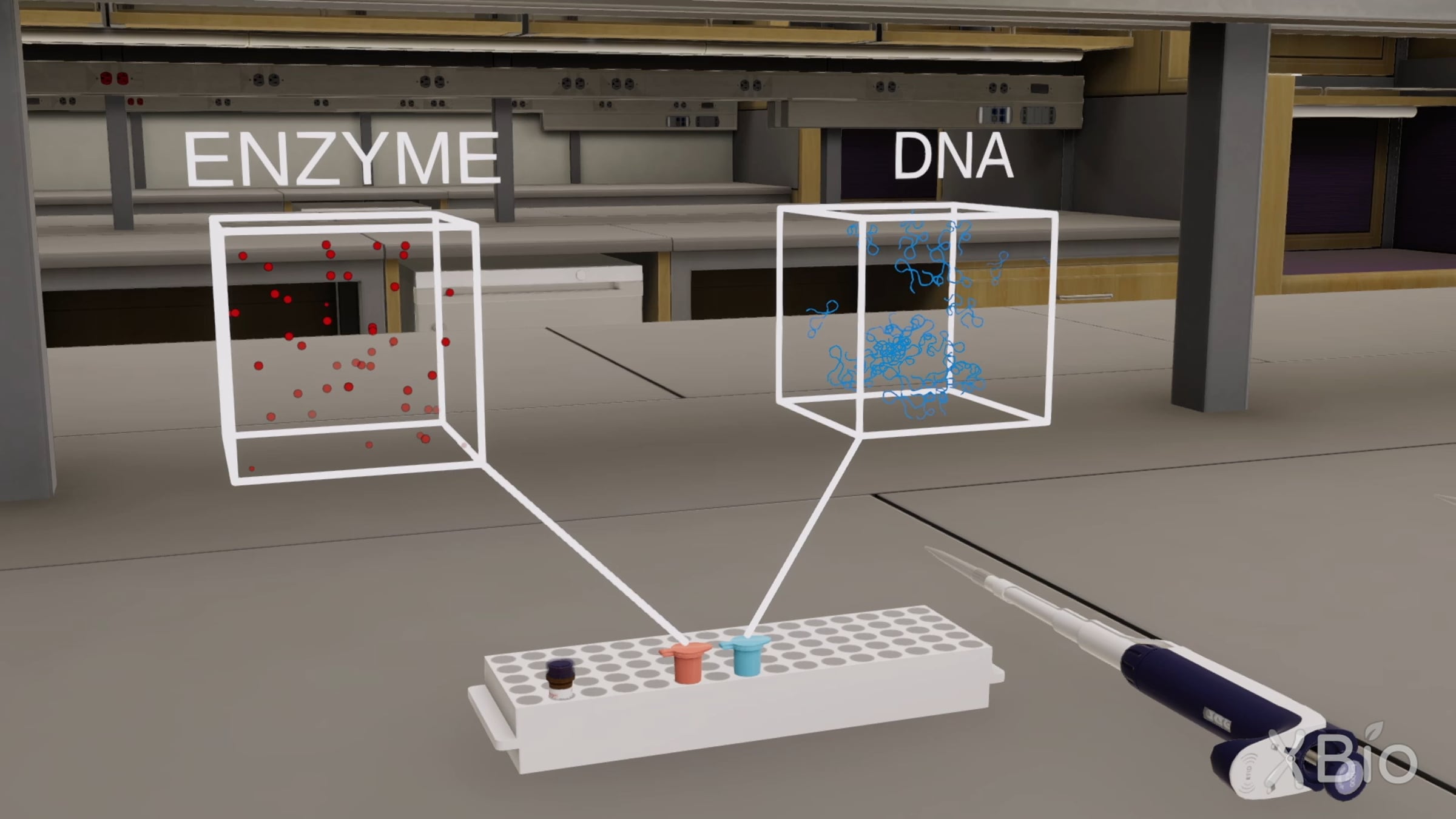 Virtual Lab Simulation: Agarose Gel Electrophoresis