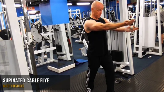 Standing Cable Flyes