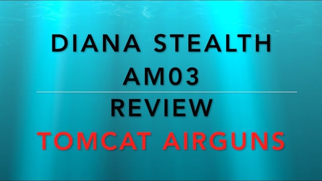 Diana Stealh AM03 Review - Airgun101