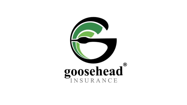 Goosehead on Vimeo