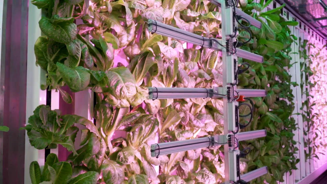 Inside the Grow Pod Vertical Farming Systems on Vimeo