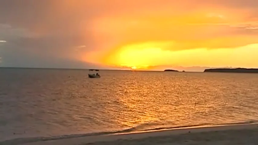 Bahamas Native Show Intro on Vimeo