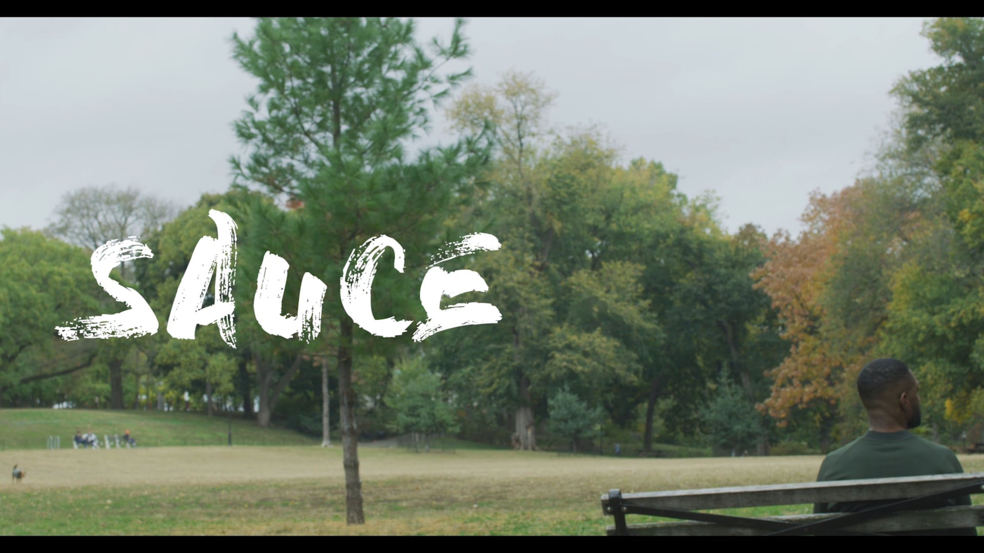 Sauce Trailer on Vimeo