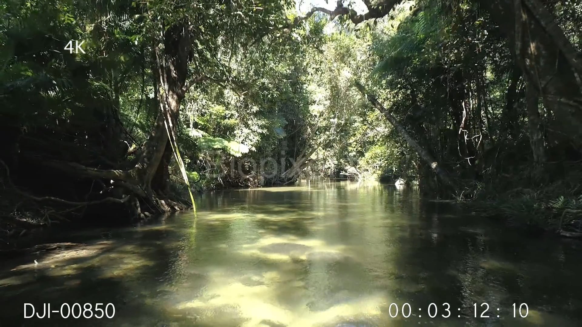4K Rainforest - Aerial - Rainforest drone shots 4K on Vimeo