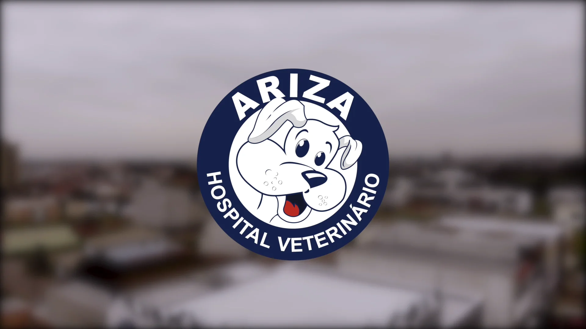 Ariza Hospital Veterinário - Institucional