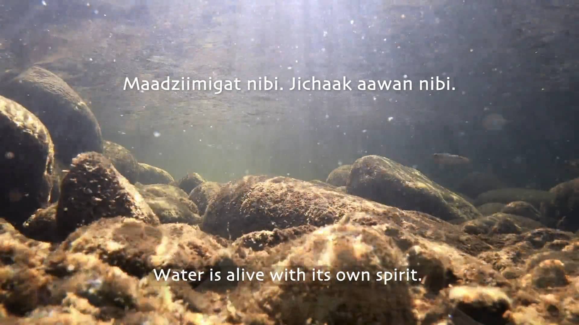 Water is alive on Vimeo