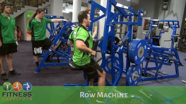 Hammer Strength Two Arm Row