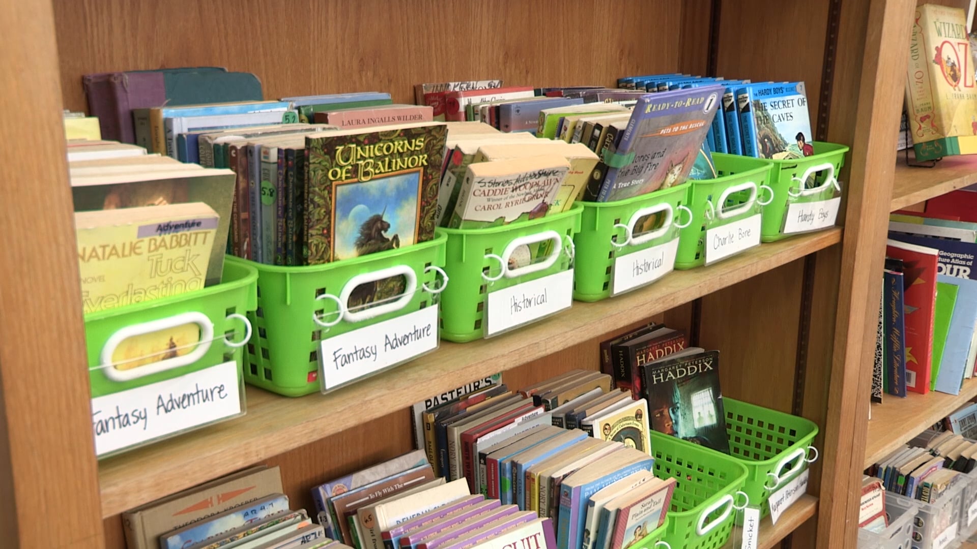 A4 Springboard Summer Reading Program Overview on Vimeo