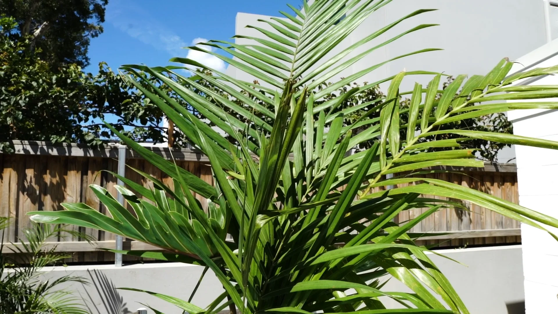 Claremount House on Vimeo