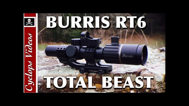 Burris 1-6X24 30mm Riflescope , Illuminated Fastfire 3 , PEPR mount AR ...