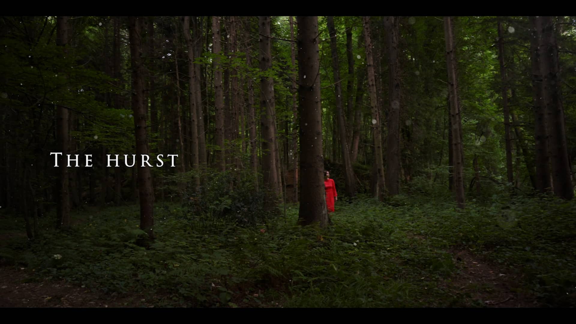 The Hurst on Vimeo