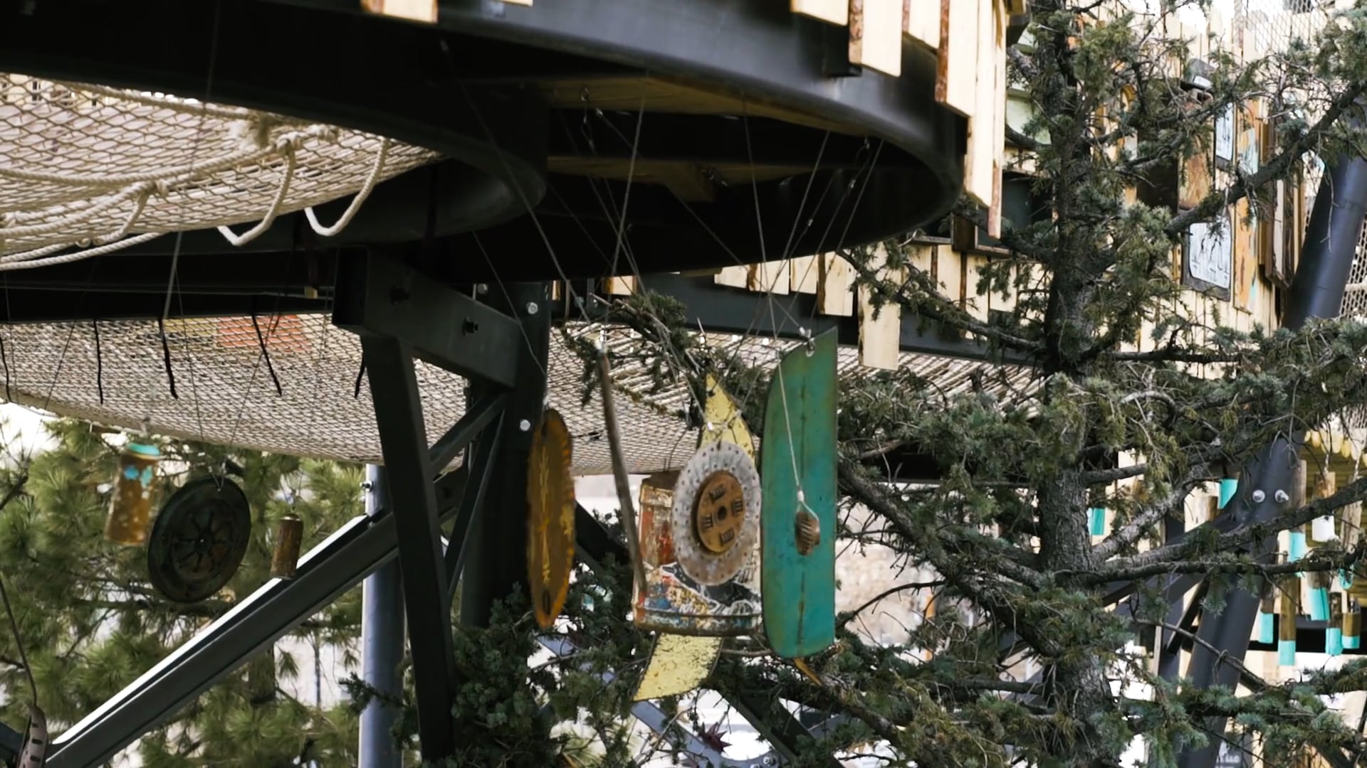 home | Adventure Forest