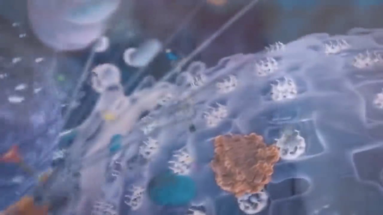 Cat Transcendence- limitless on Vimeo