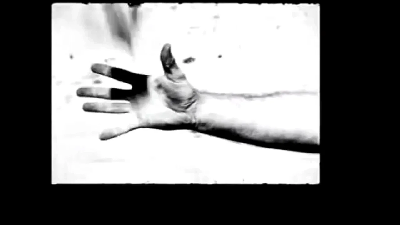 #84 Steve Schepens on Vimeo